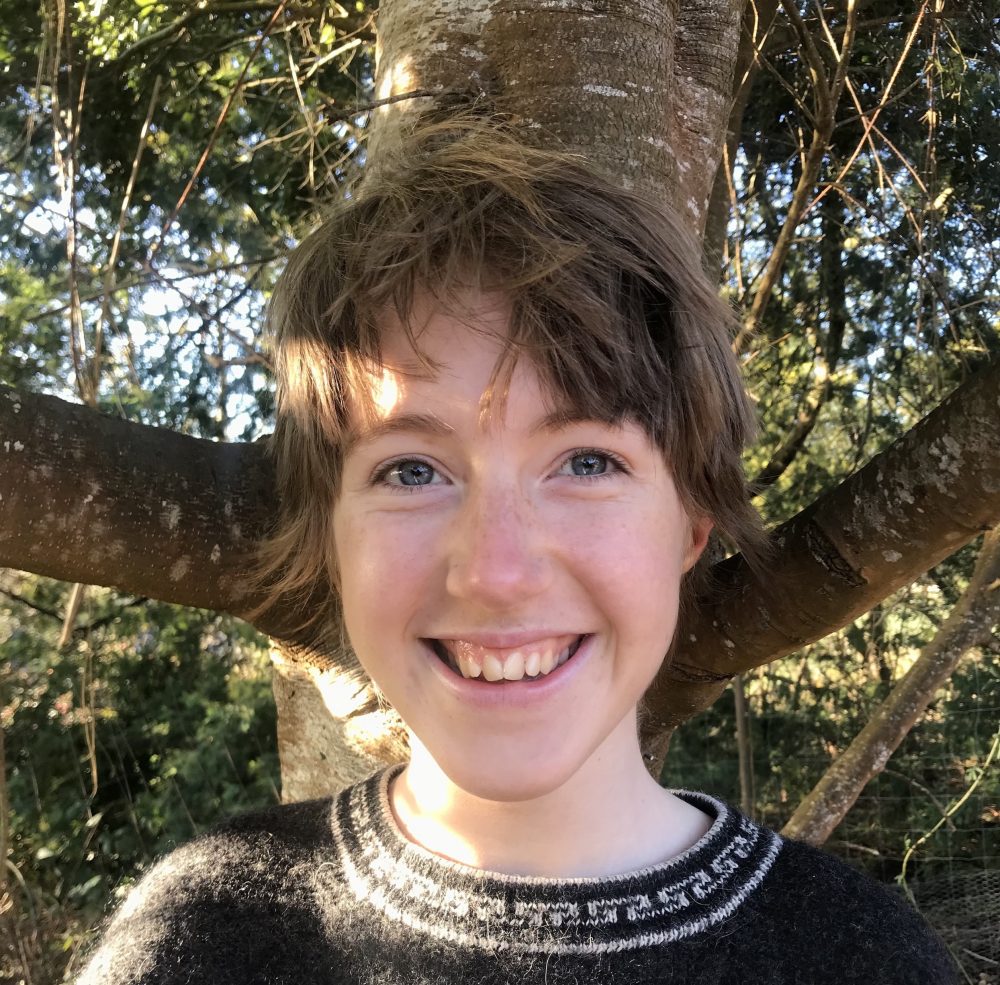 Meet the Team • Die Bärliner